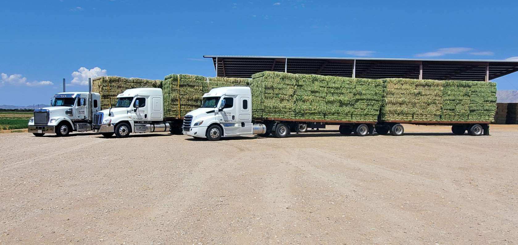 Wholesale & Bulk Hay For Sale | Wittstrom Hay Sales